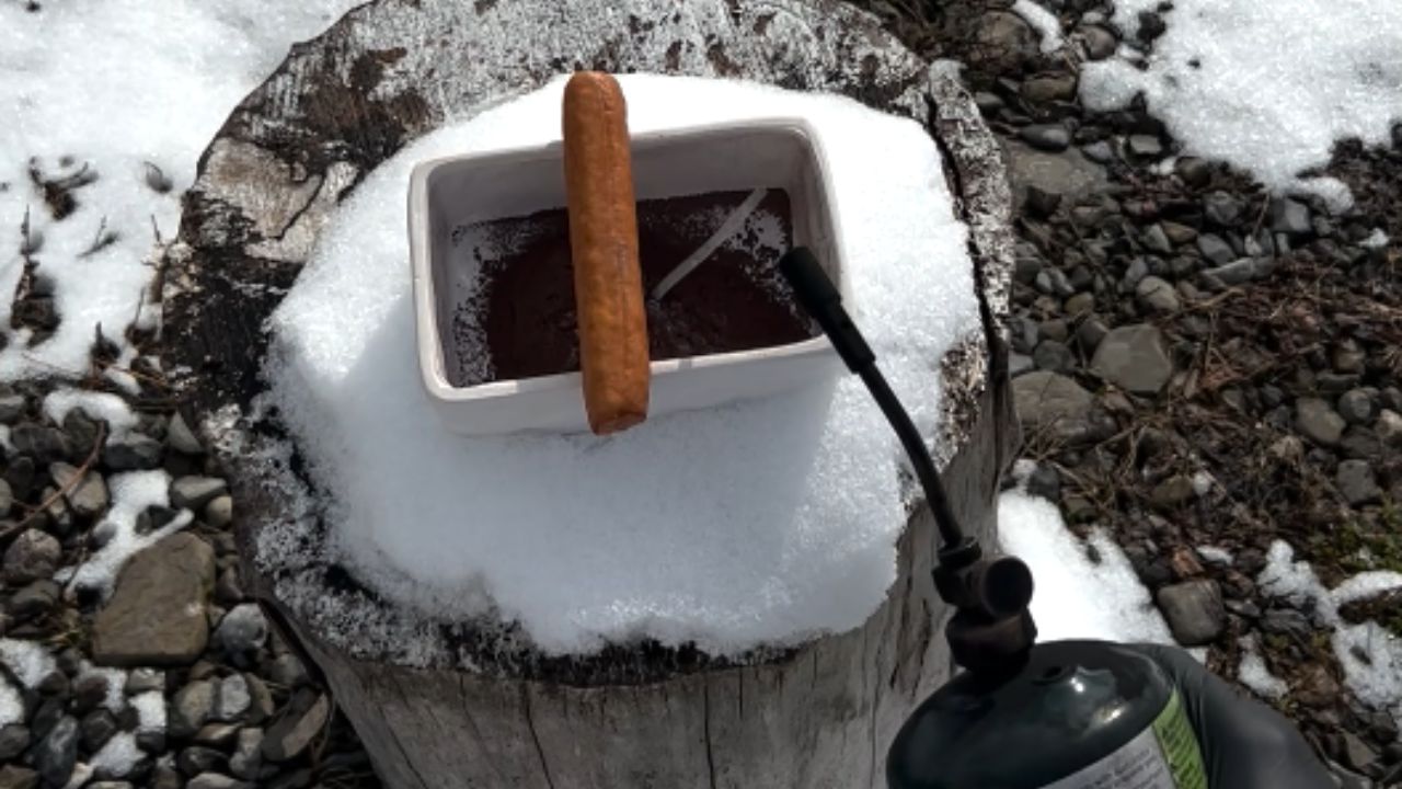 The super-fast 'Thermate vs Hot Dog' experiment will make you feel the ...