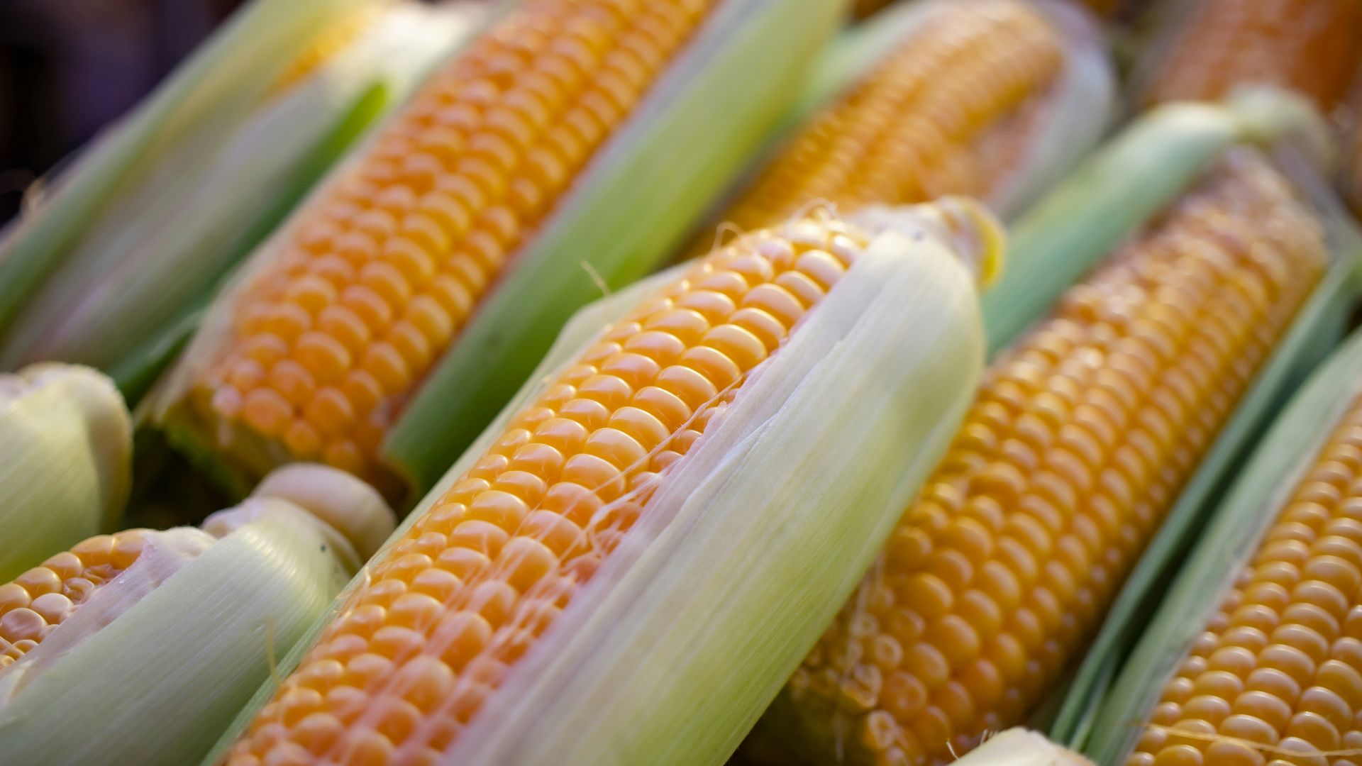 20 foods that looked completely different 100 years ago
