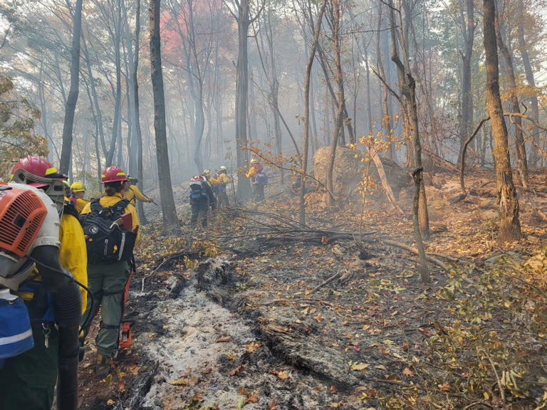 152 wildfires suppressed, 1,733 acres burned amid fall fire season ...