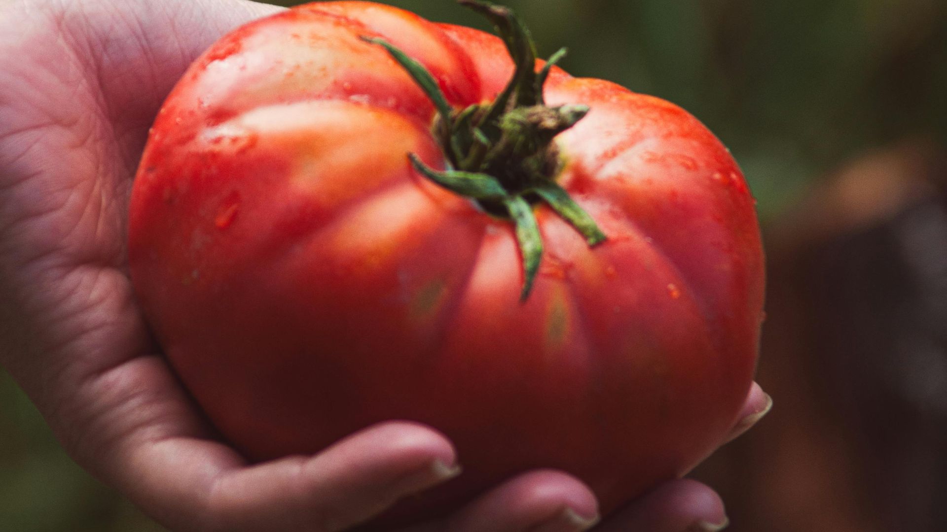 20 foods that looked completely different 100 years ago