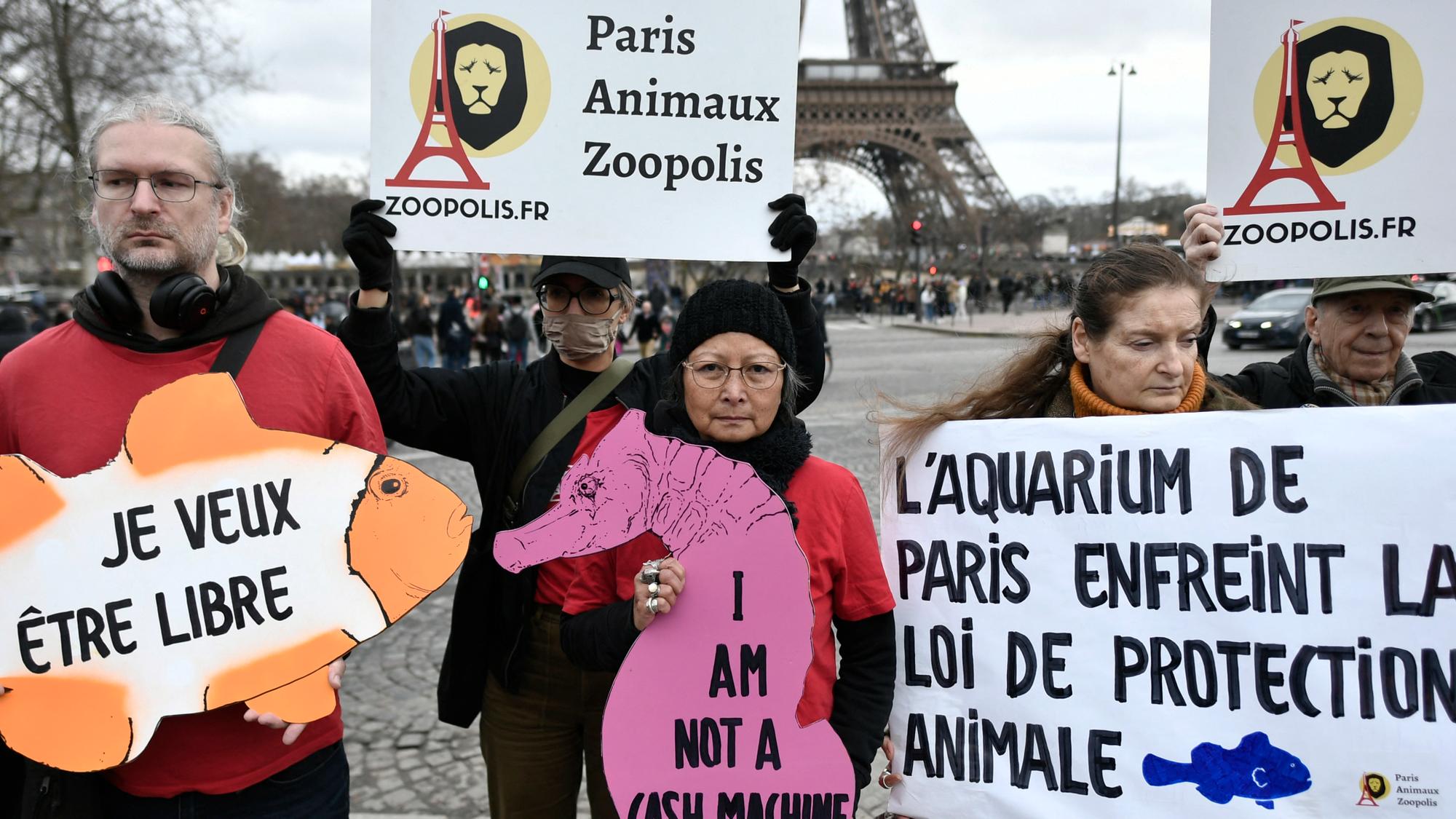 Pour les poissons, la justice demande que l’Aquarium de Paris cesse de ...