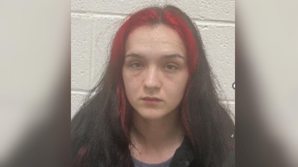24-year-old Cecil County mom charged with murder of newborn child