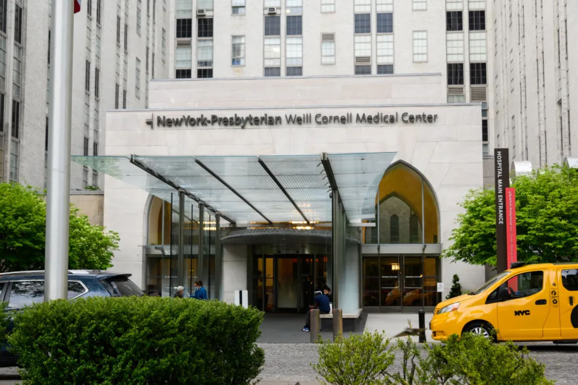 Lifeless newborn dropped off at NYC hospital by mom died of homicide ...