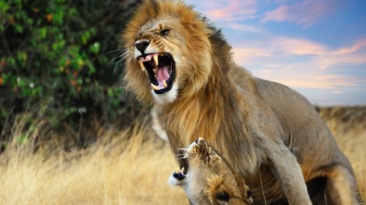 Nature's cannibals: 5 shocking animals that secretly eat their own kind