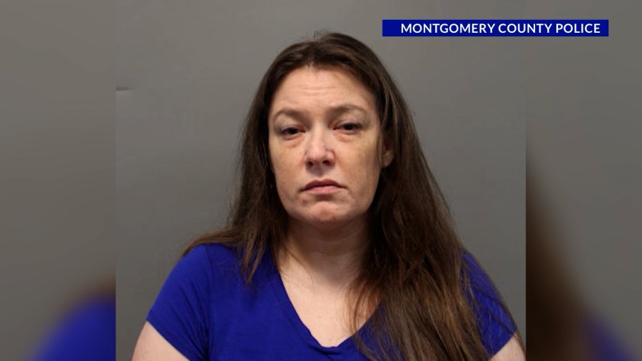 Georgetown University law professor discusses Hoggle’s competency hearing