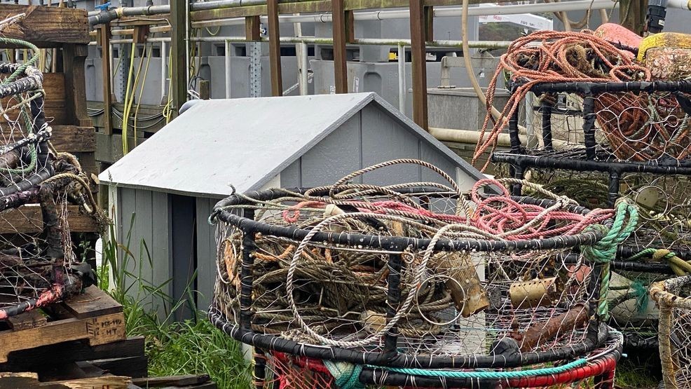 Coastal fishermen face risks as crabbing season begins after two-week delay