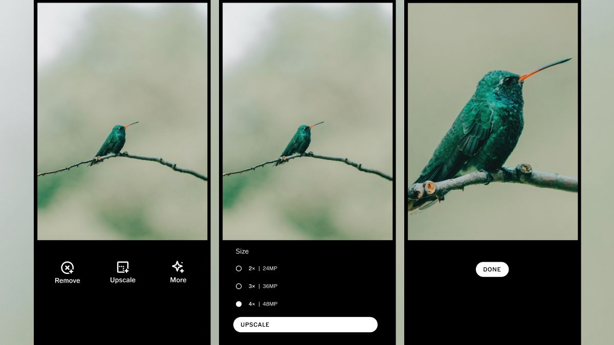 VSCO will now upscale images using AI by as much as 4x