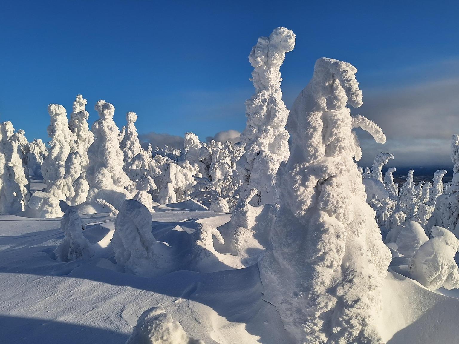 L’ouverture des sentiers d’hiver en partie retardée au parc national ...