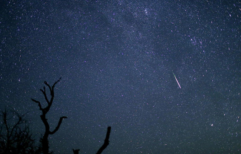 The stars at night are big and bright at this state park in Texas, says ...