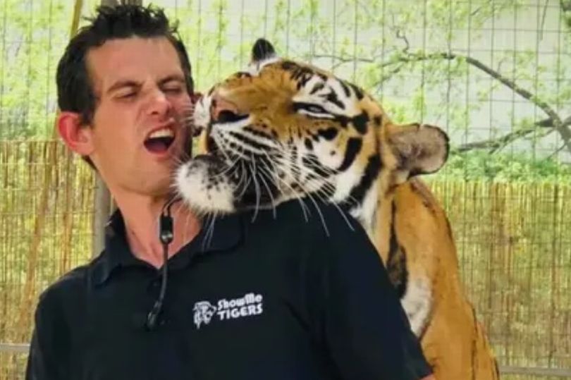 Tiger King associate's cause of death revealed after fatal tiger attack