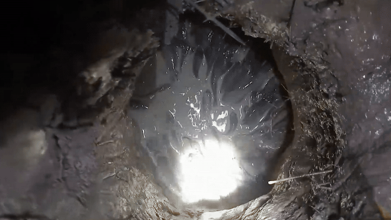 Southern fisherman nets huge catch using ground-pit traps