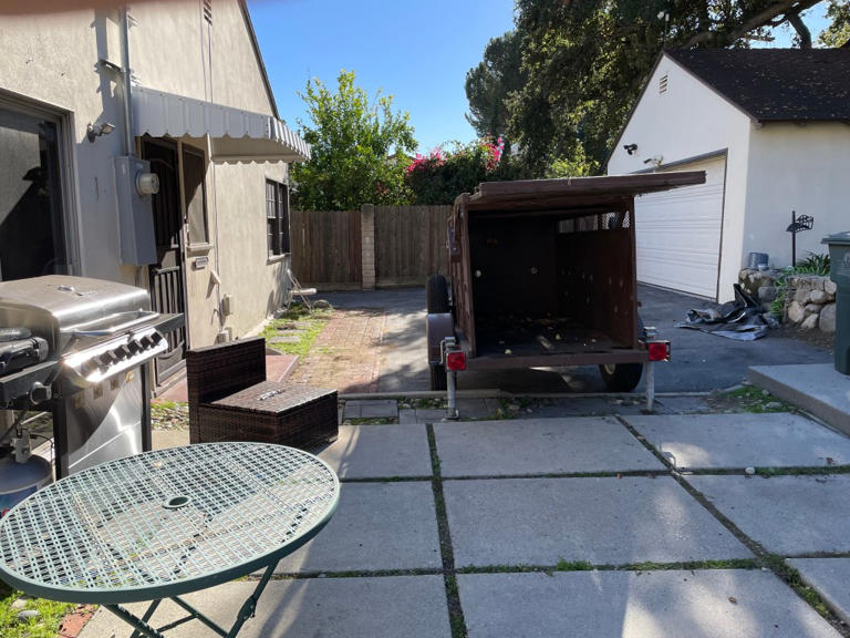 A 550-pound bear has been living under my house — and it doesn’t want ...