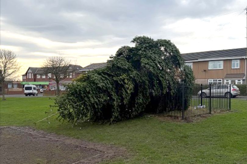 Huge upset in North East village after Christmas tree chopped down just ...