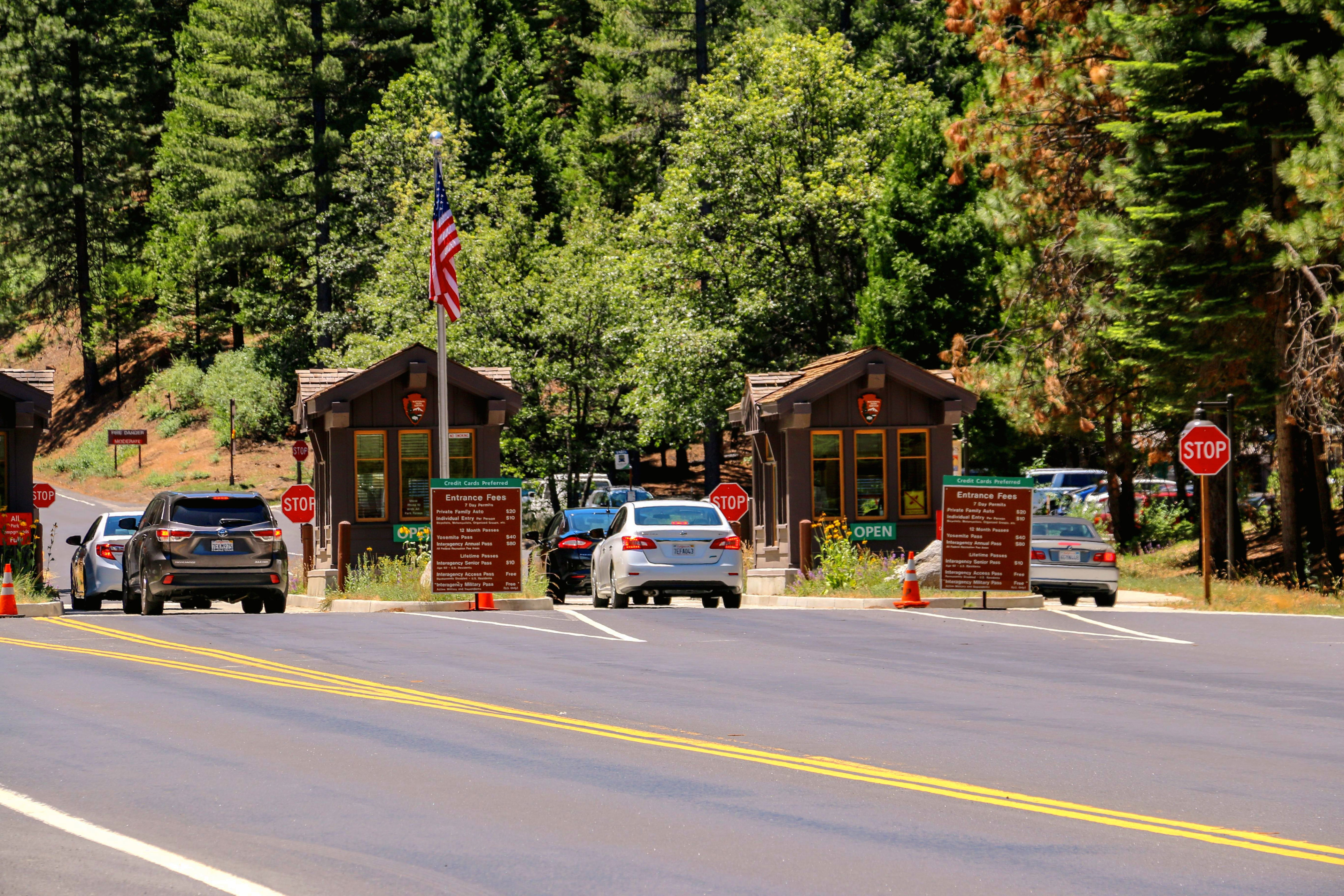 Yosemite National Park road signs reveal a heartbreaking consequence of ...