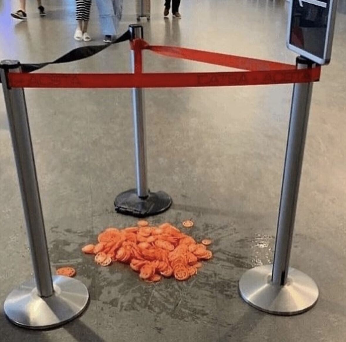 Photos where humanity’s common sense is up for debate