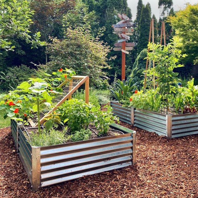 10 elegant raised garden bed ideas for your yard