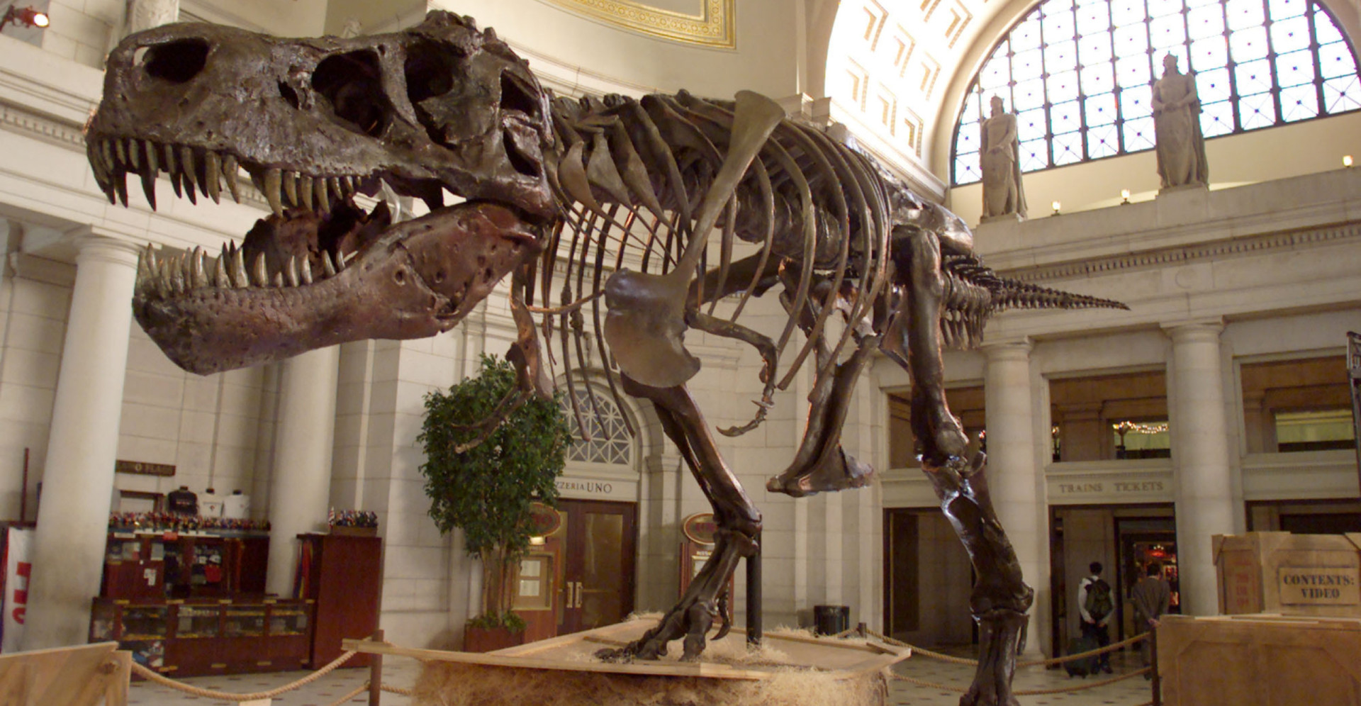 The most dangerous dinosaurs that once ruled the world