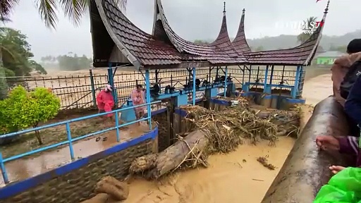 Hoax hiu muncul saat banjir di Kota Padang