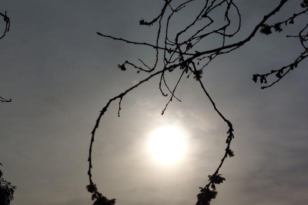 Sunshine and frost follow stormy weather in Wrexham and Flintshire