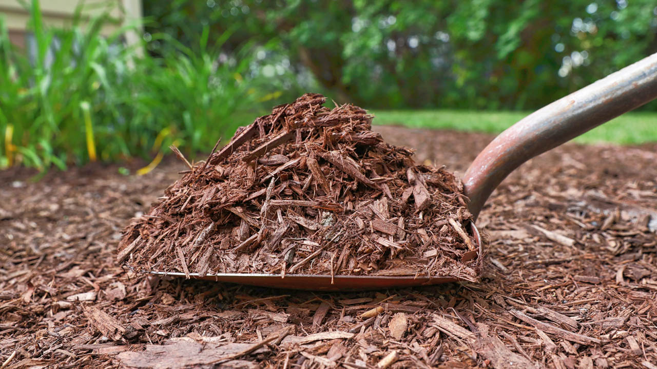 10 gardening tips for using the right mulch for your plants