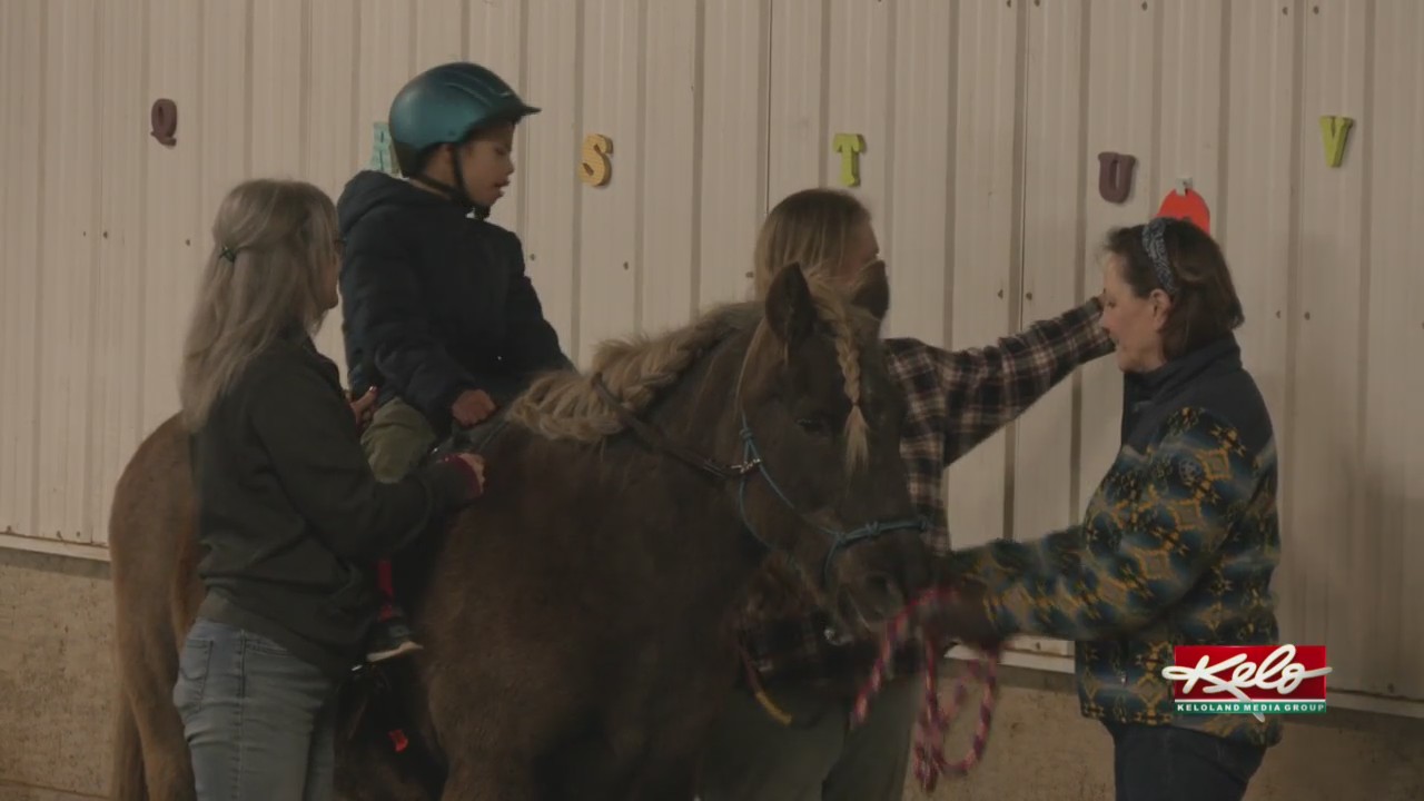 HorsePower: The power of equine therapy