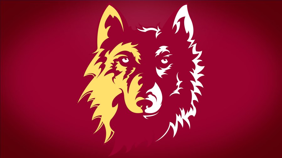 Fielder’s late score leads Northern State women past USF