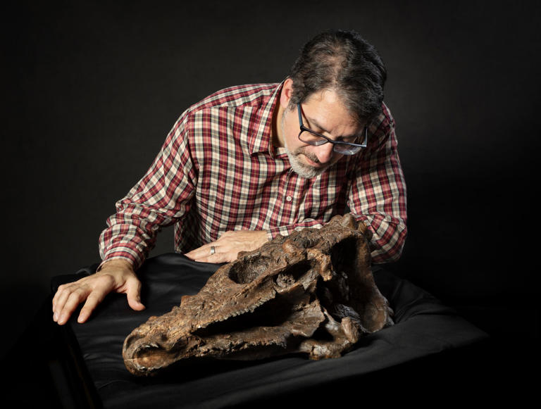 Smithsonian to display rare dinosaur skull found in South Dakota