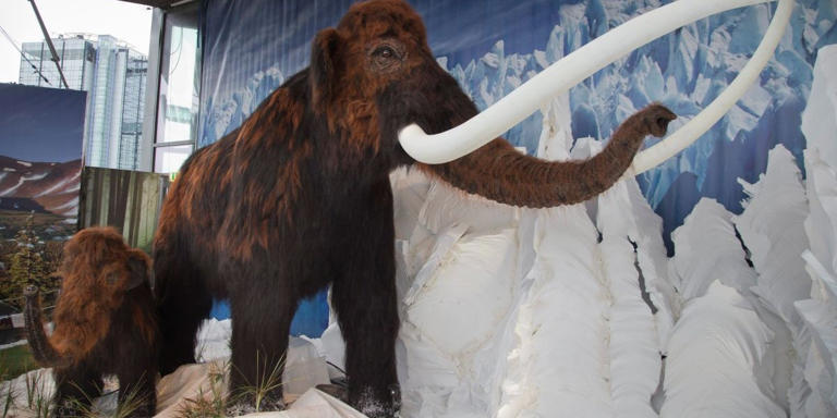 Beskedet: Då kommer nästa istid