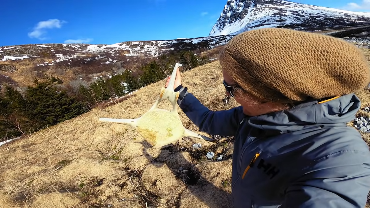This remote Arctic beach revealed the giants' graveyard