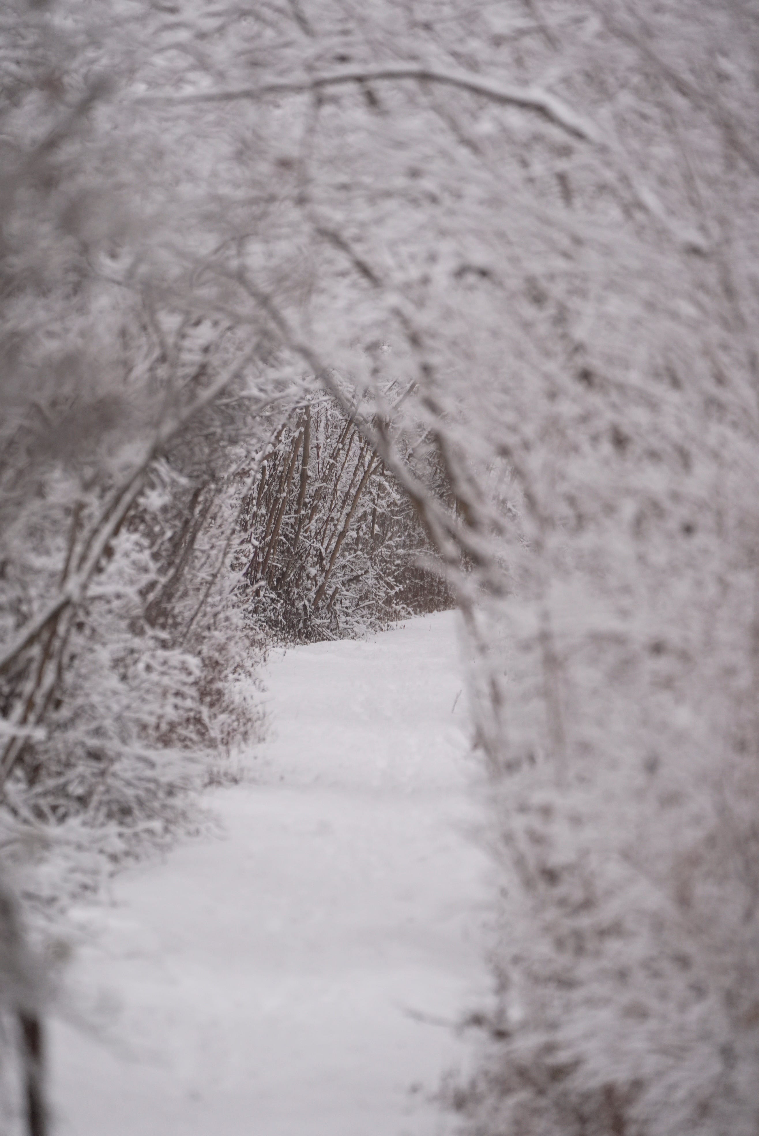 Here’s how much snow still expected from winter storm