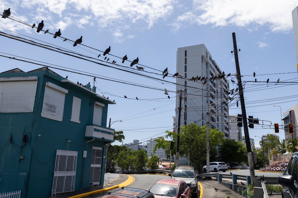 Puerto Rico sues Luma in first push to cancel contract with private ...