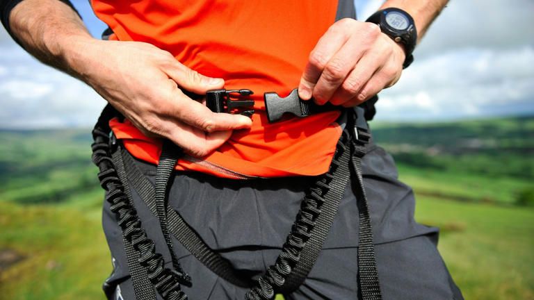 10 tips to get your dog ready for trail running