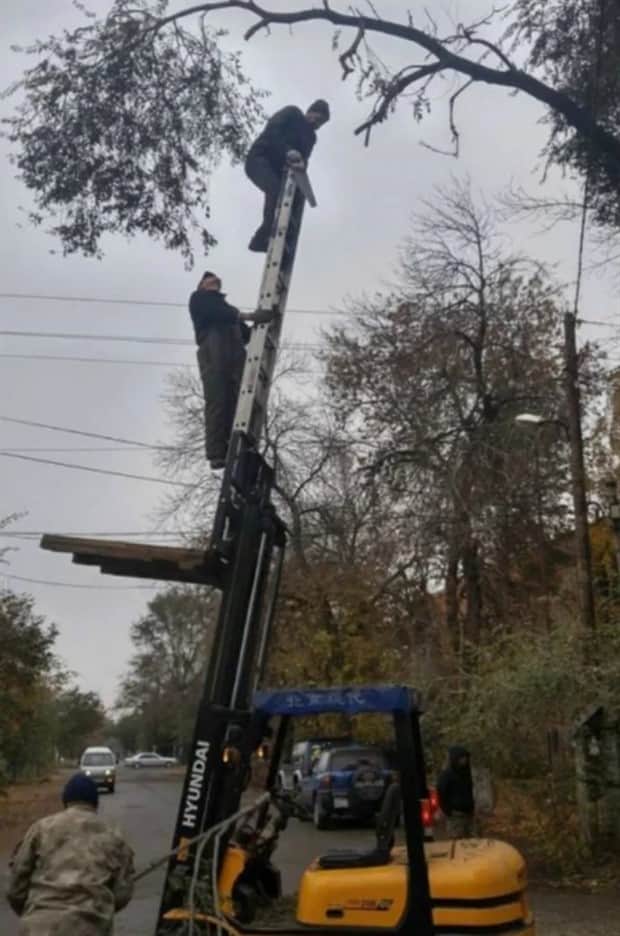 Photos of humanity’s common sense put into question