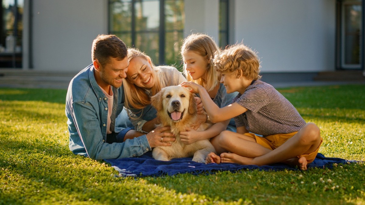 The most snuggle-friendly dog breeds—expert rankings