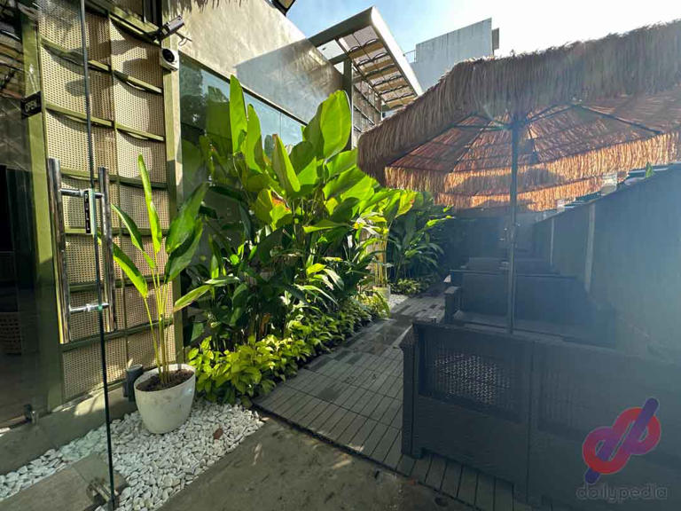 Allor Coffee + Bakery and Alami Nature Spa bring a calm, nature ...