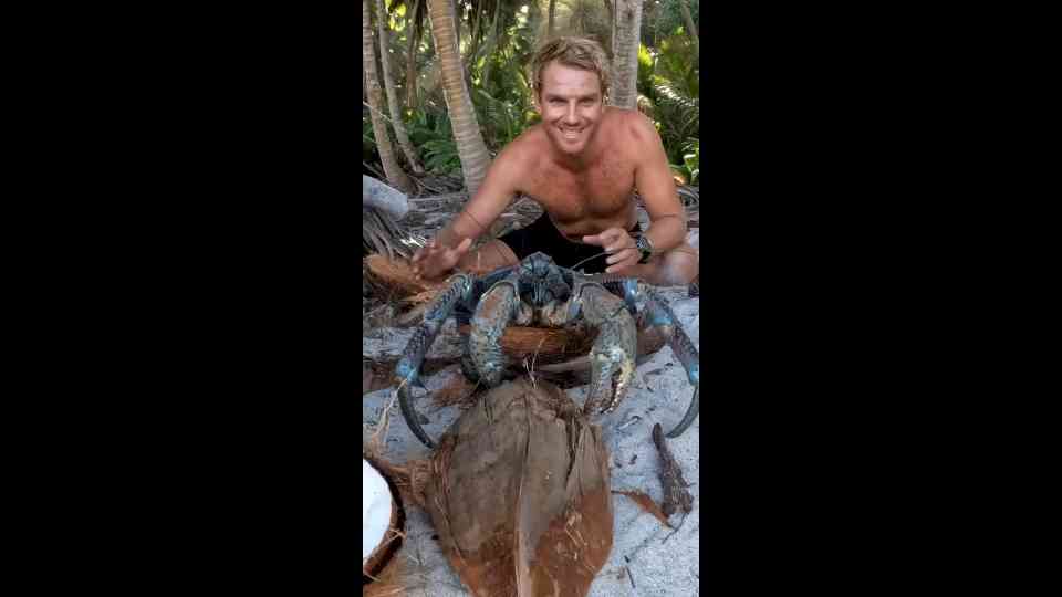 This is what happens when predators face no threats