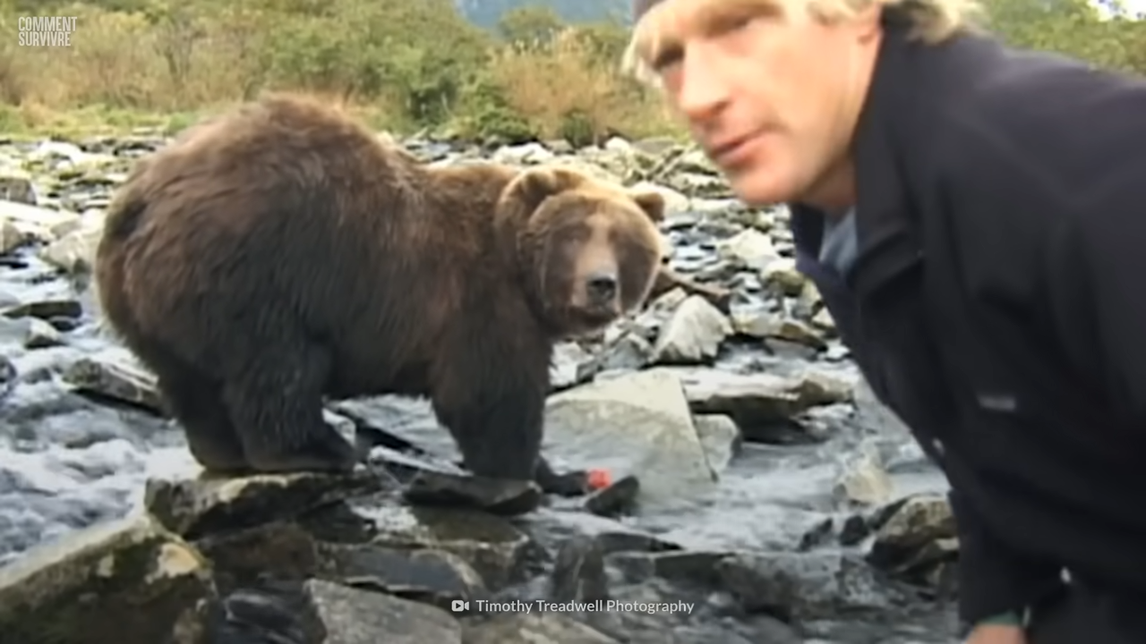 Ce que l’enquête a révélé sur la mort de l’homme grizzli