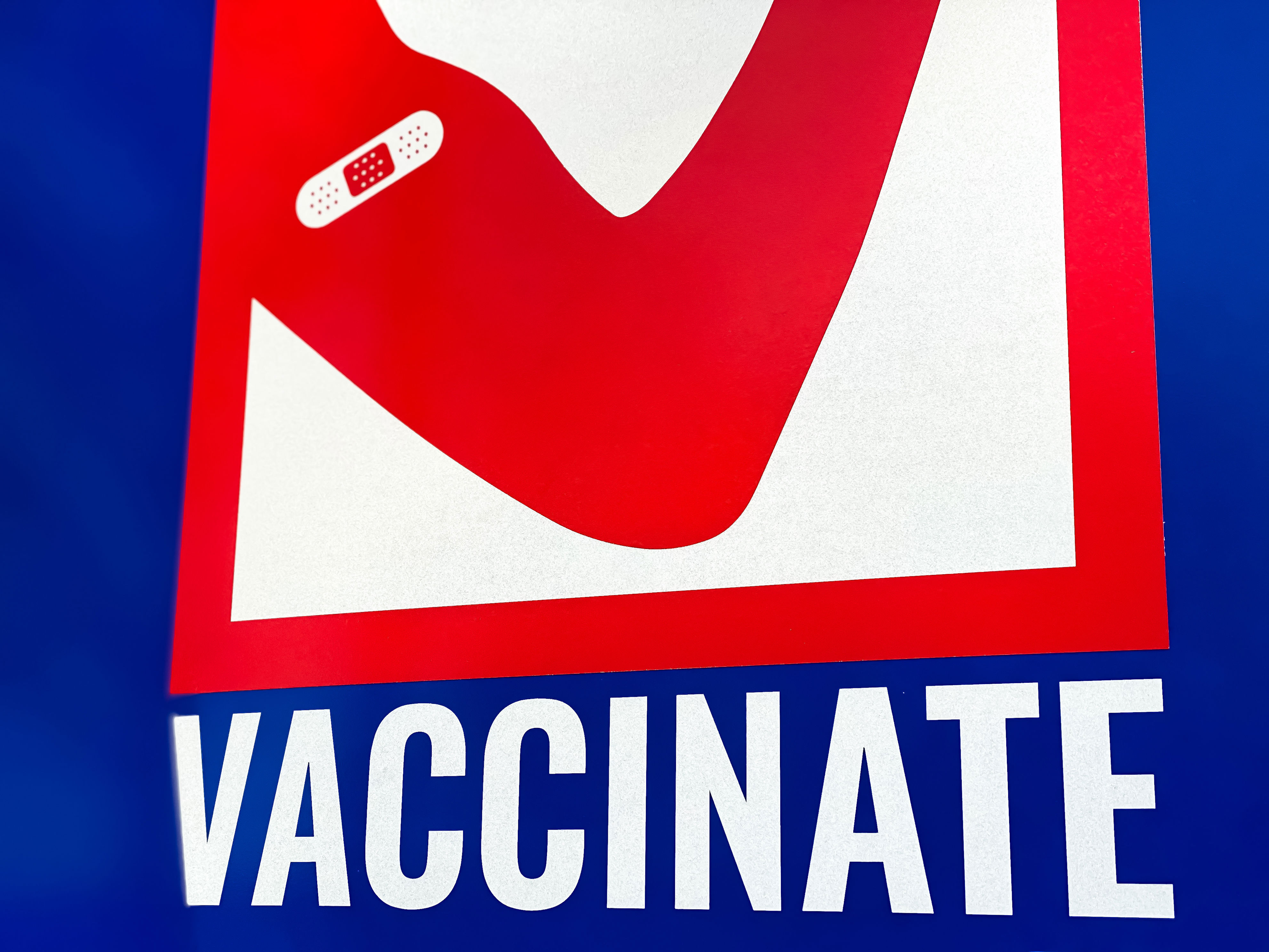 Trump and RFK Jr. may usher in a blue tsunami | Opinion