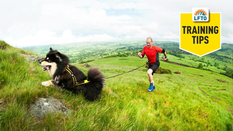 10 tips to get your dog ready for trail running