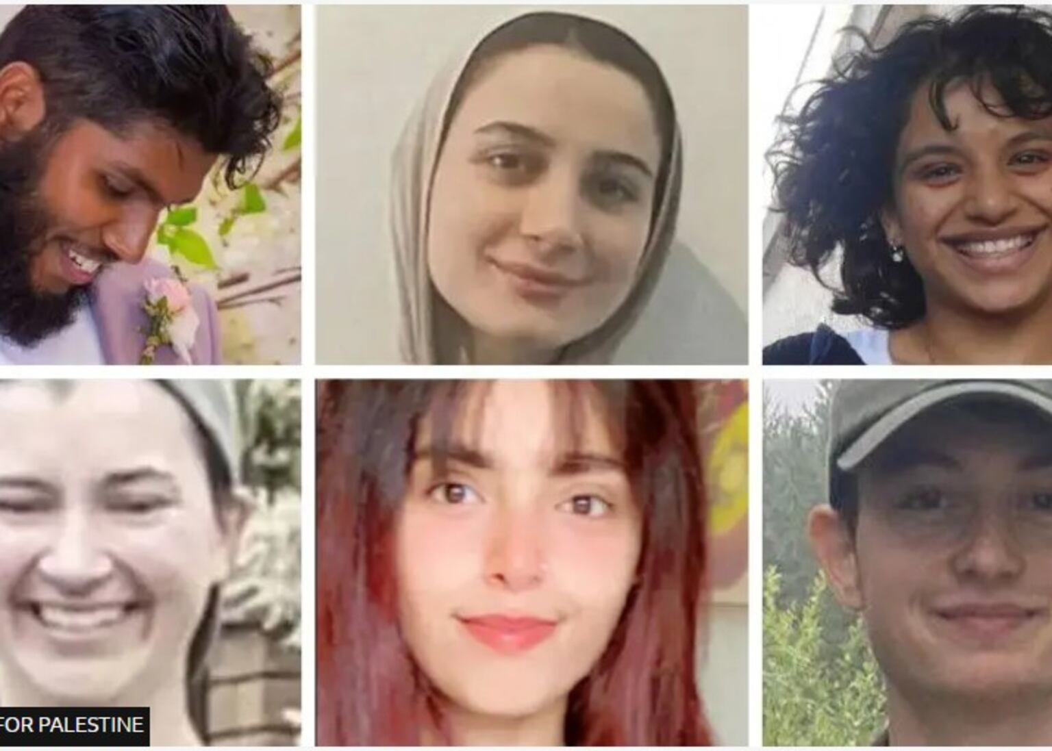 Tom Collins: Palestine Action hunger strikers expose sham of British ...