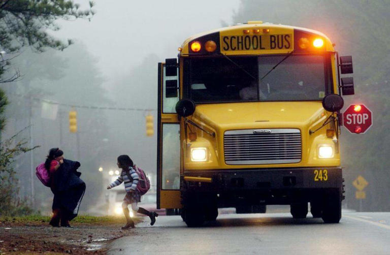 These are the best school districts in GA for 2026. See if yours made ...