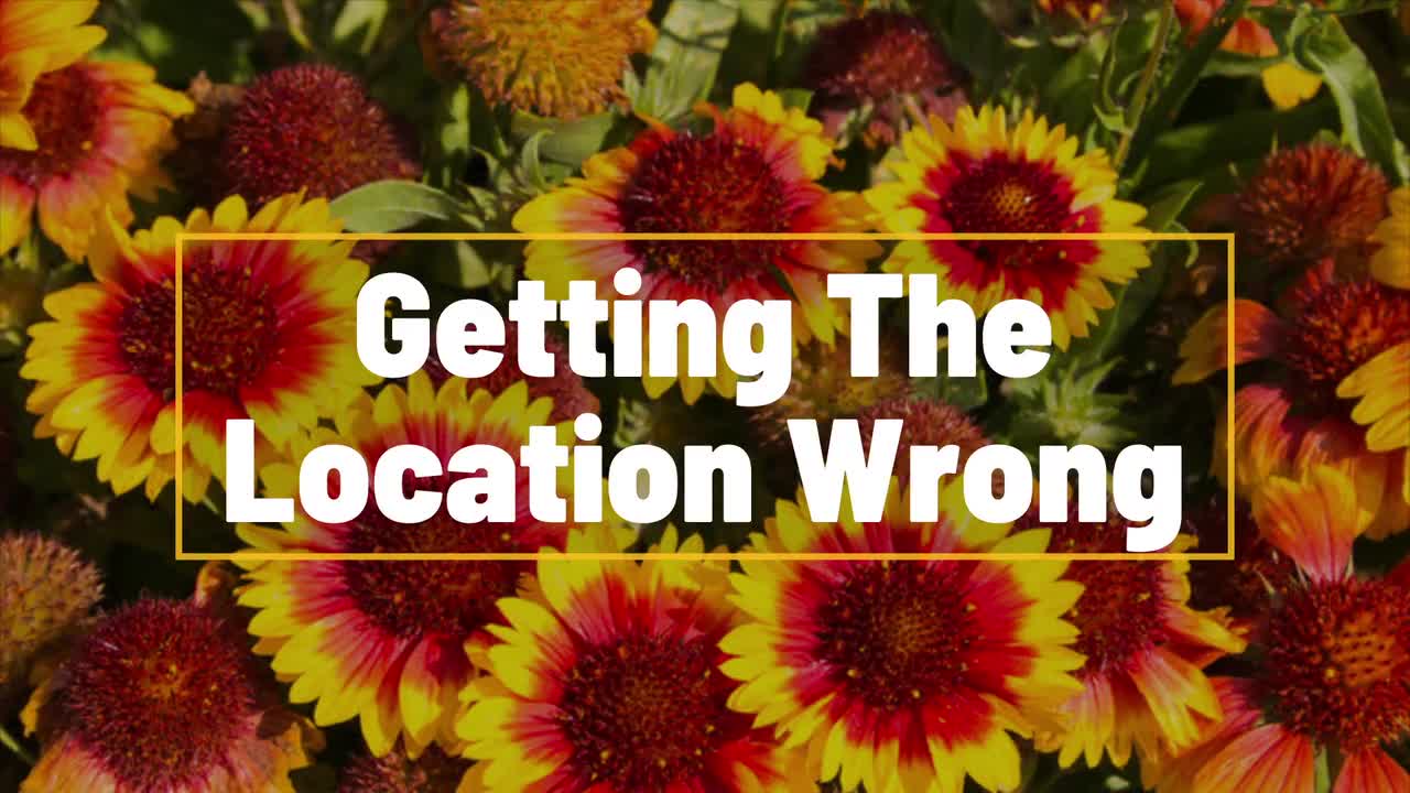 3 common gardening mistakes to avoid