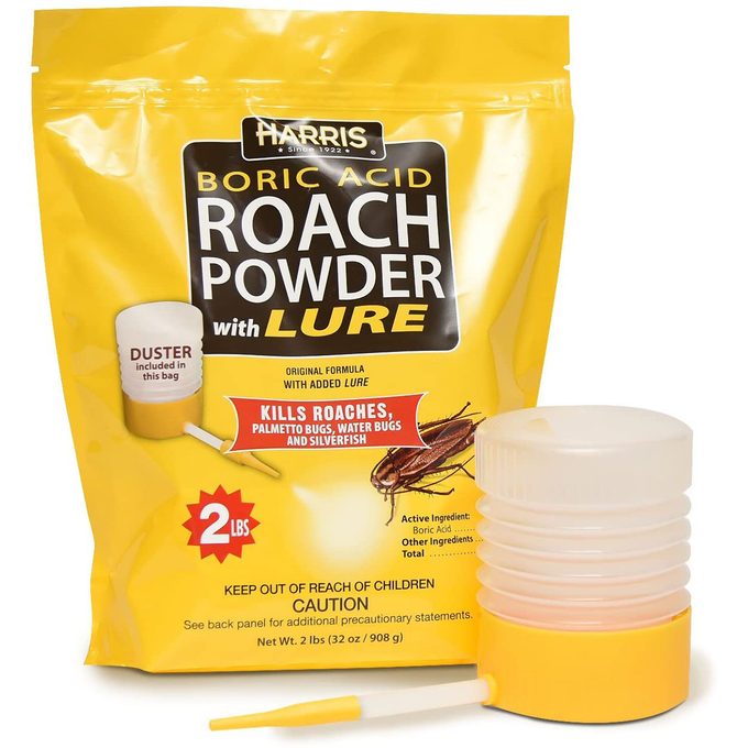 4 best cockroach traps: including sticky glue, electronic, and natural ...