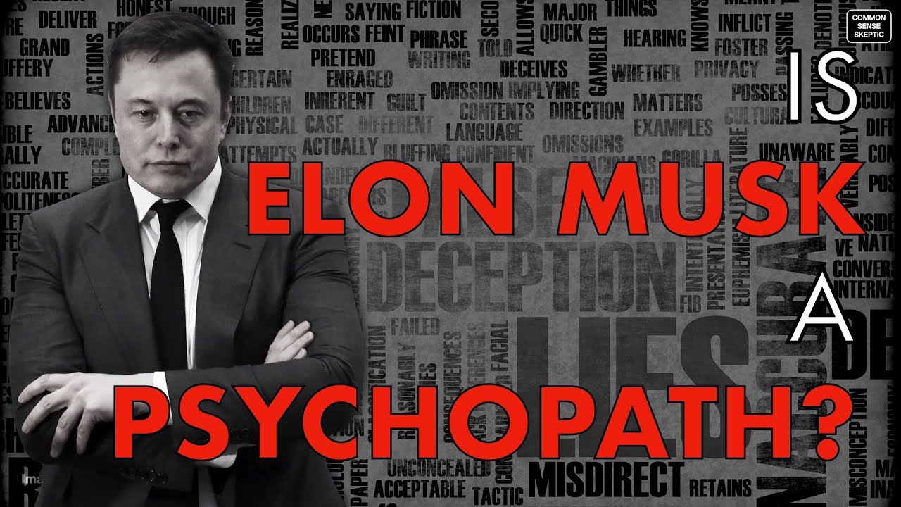 Is Elon Musk a genius or a madman?