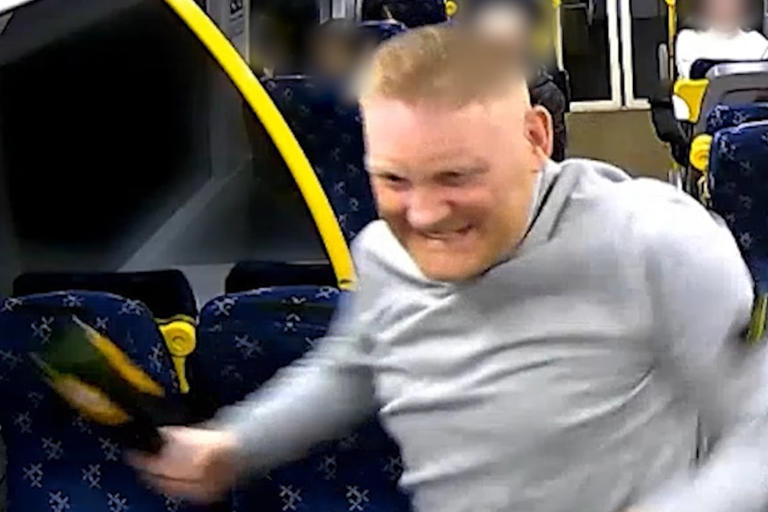 Police release footage of 'relentless' bottle attack on train