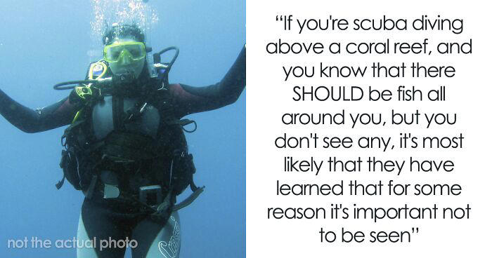 30 of the scariest and creepiest theories shared by people on Reddit in ...