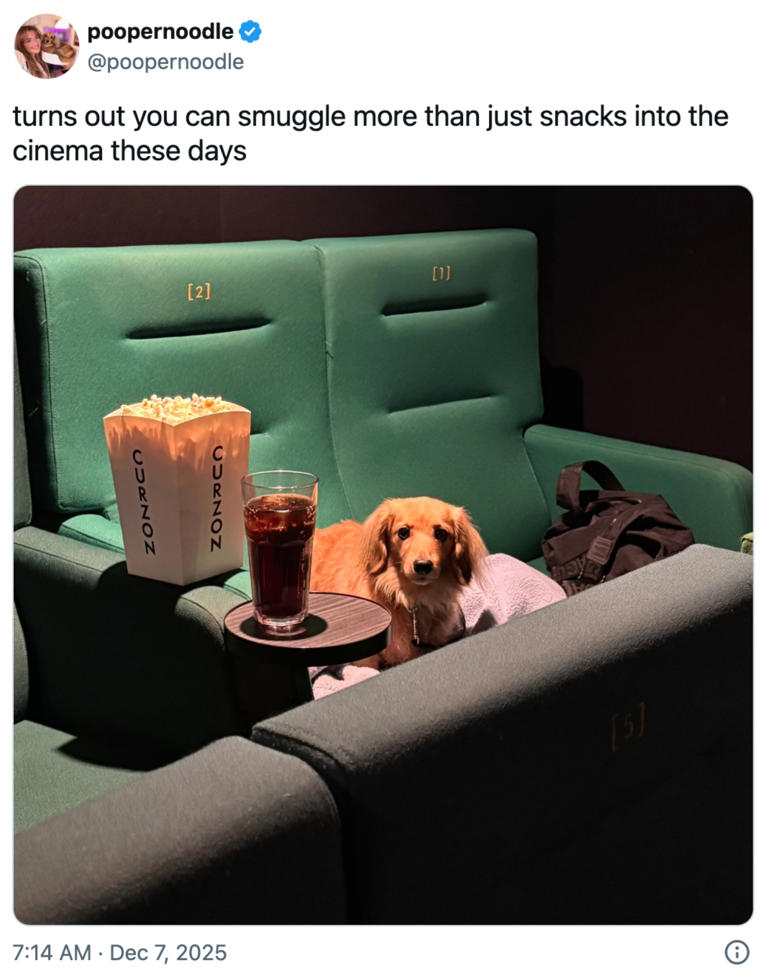 27 of the most wholesome posts from the internet this week that are 99. ...