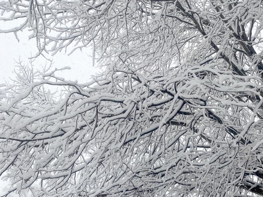 LI set to weather first snowfall accumulation of the season