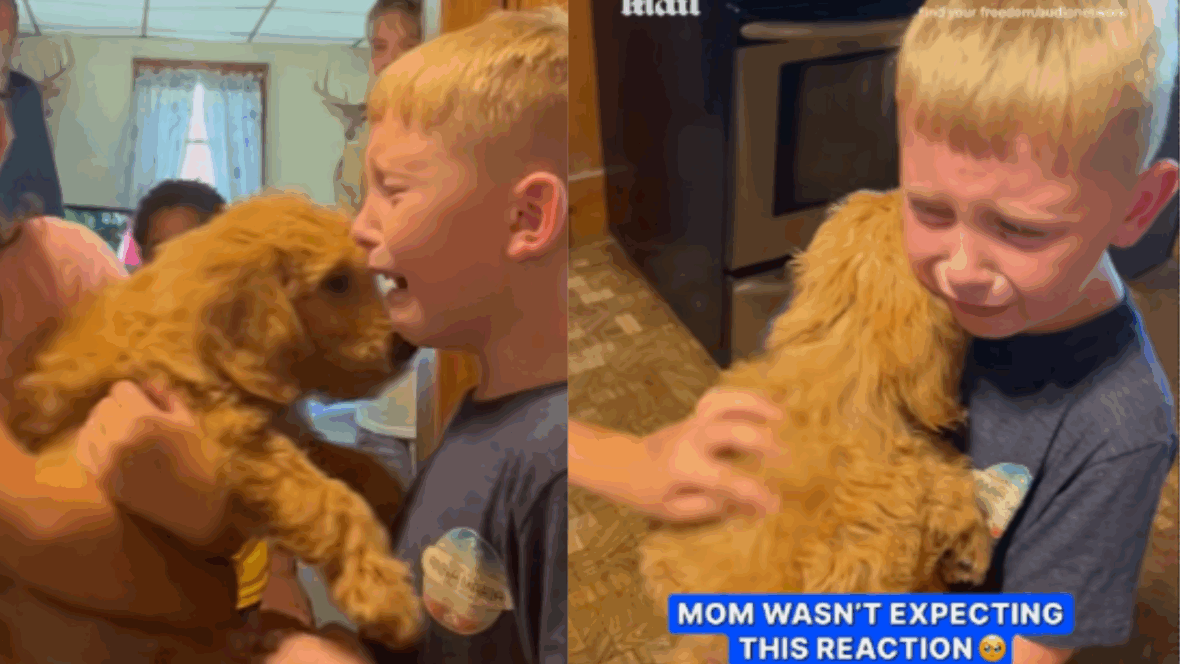 Little boy’s emotional reaction to meeting his new puppy melts hearts