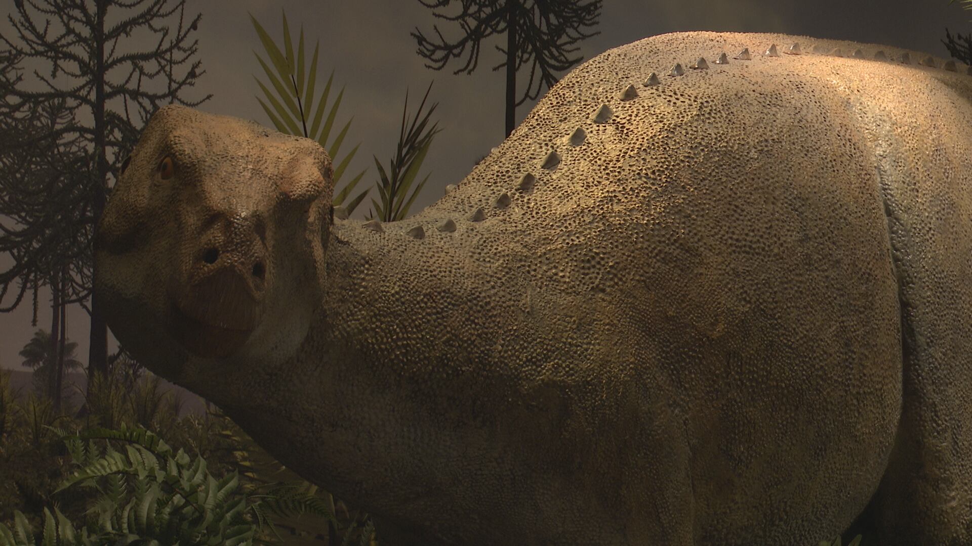 Colorado dinosaurs program gives kids a hands-on look at prehistoric ...